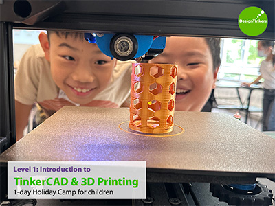 Level 1: Introduction to TinkerCAD + 3D Printing (Mar)*